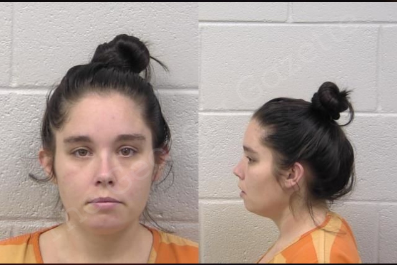 Jaime Chambers — Paulding County Jail Bookings