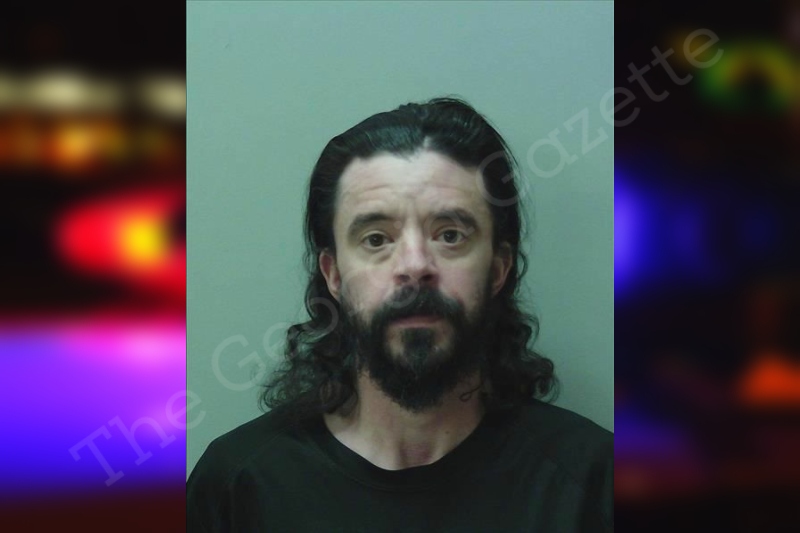 Daniel Cook — Towns County Jail Bookings