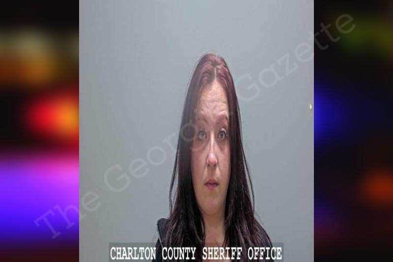 Heather Cook — Charlton County Jail Bookings