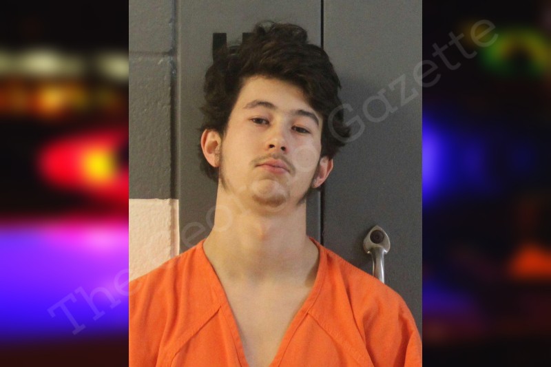 Ian Daniel — Lumpkin County Jail Bookings