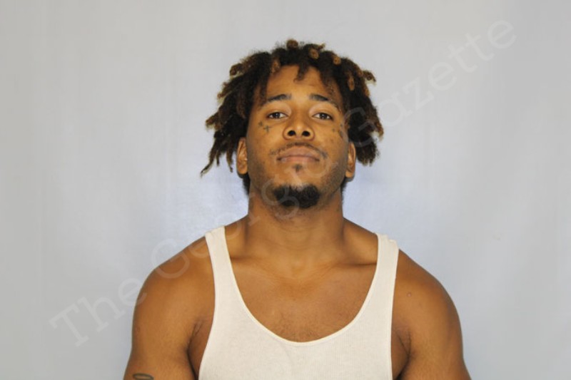 Shevaughn Davis — Hall County Jail Bookings