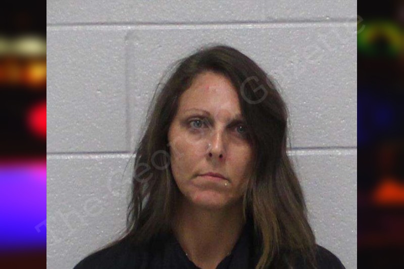 Lisa Dempsey — Carroll County Jail Bookings