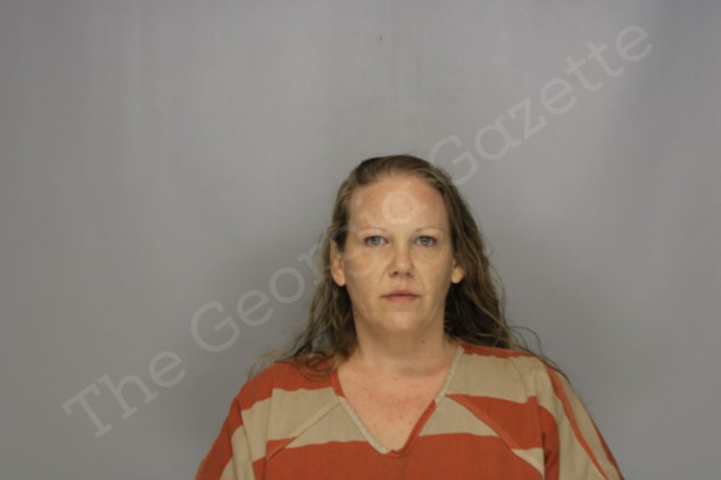 Stephanie Dyer — Hall County Jail Bookings
