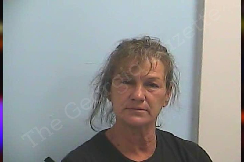 Darlene Dimango — Dawson County Jail Bookings