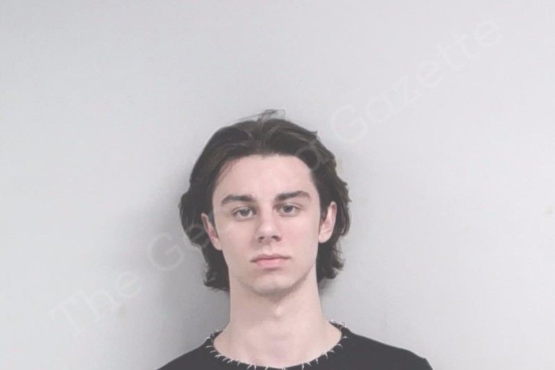 Avery Everidge — Lowndes County Jail Bookings