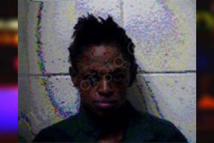 Joy Floyd — Henry County Jail Bookings