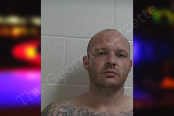 Brandon French — Decatur County Jail Bookings