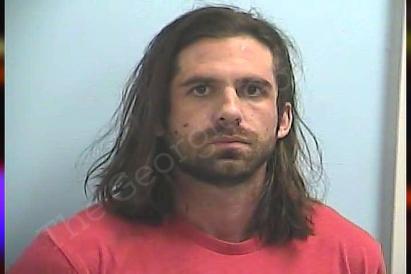 Kenzie Flood — Dawson County Jail Bookings