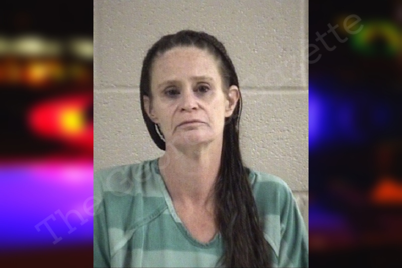 Melissa Flowers — Whitfield County Jail Bookings