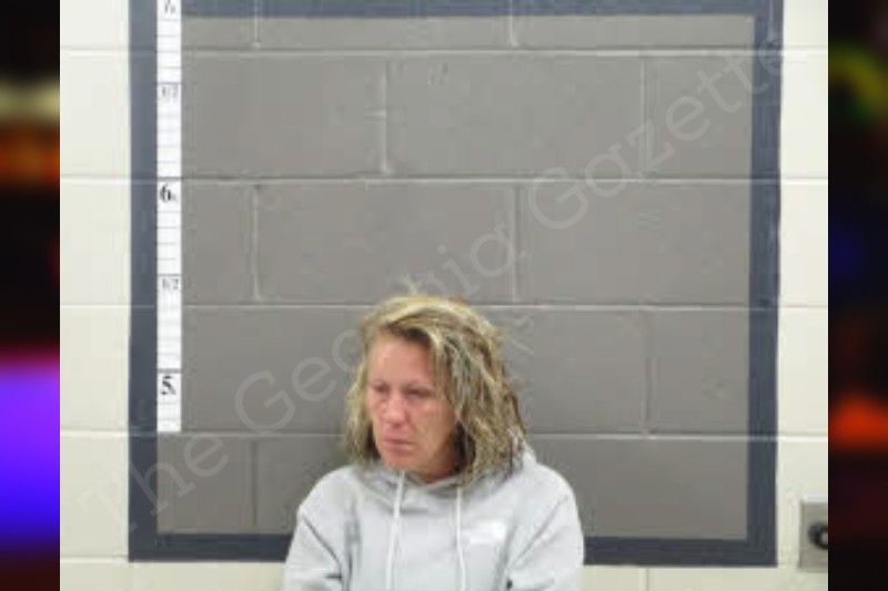 Shannon Crowe — Banks County Jail Bookings
