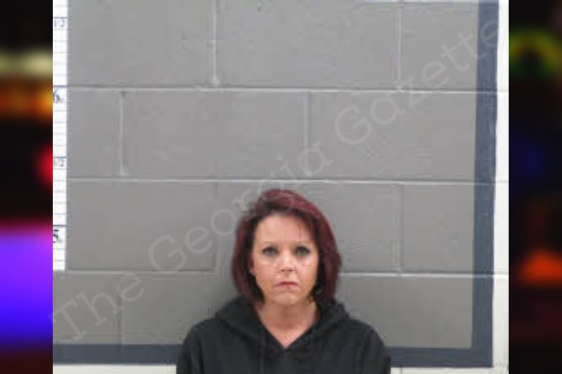 Alea Thomas — Banks County Jail Bookings