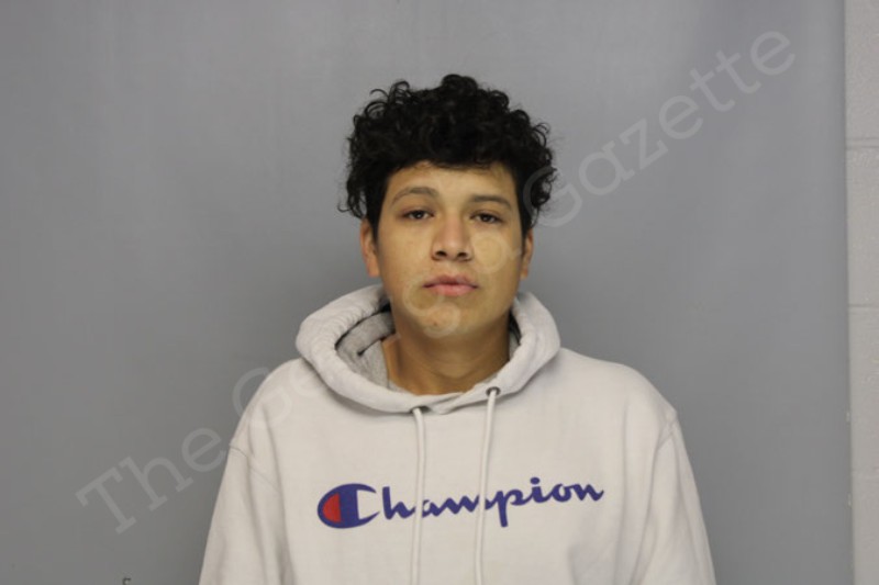 Alexis Gomez Arriaga — Hall County Jail Bookings