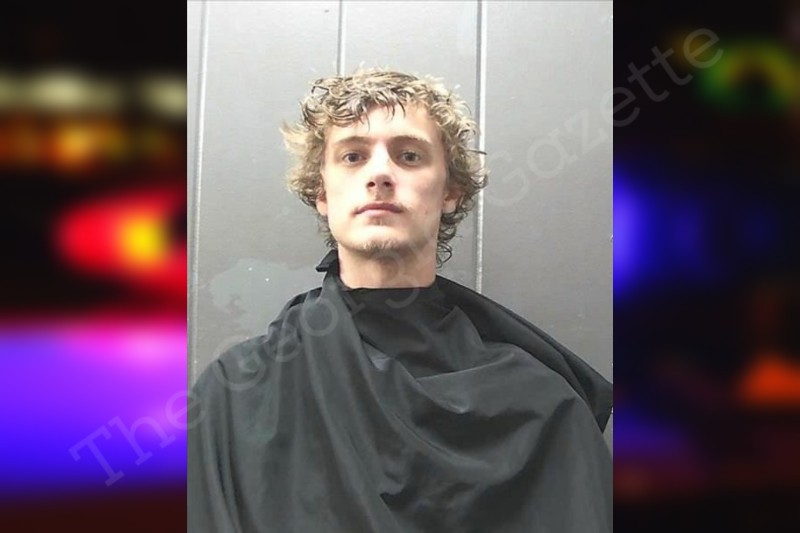 Charles Gillespie — Hart County Jail Bookings