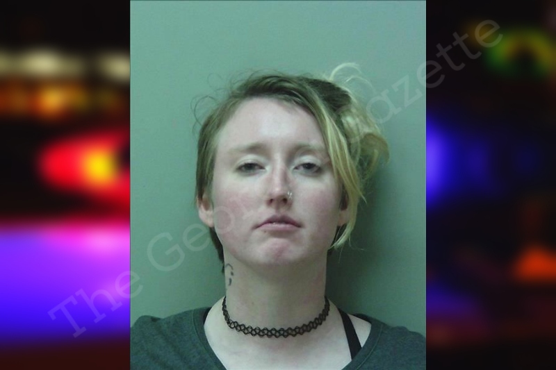Elizabeth Green — Towns County Jail Bookings