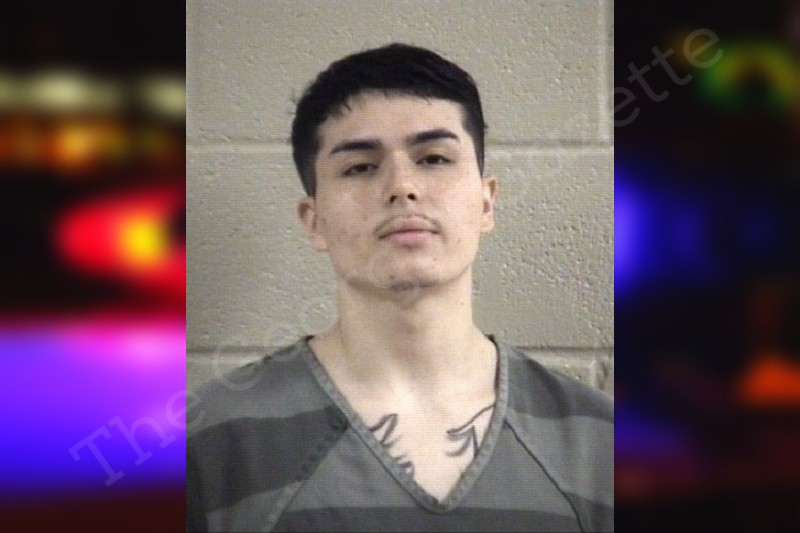 Brandon Guzman — Whitfield County