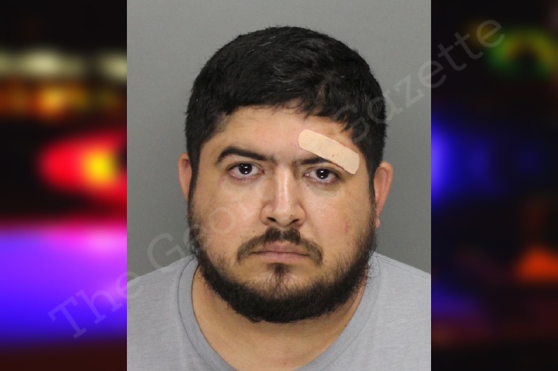 Pablo Hernandez — Cobb County Jail Bookings