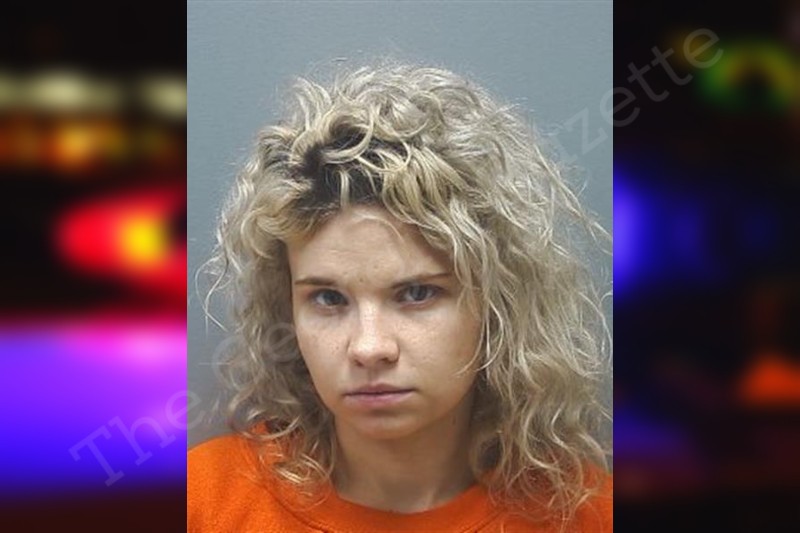 Paiton Holbrook — Cherokee County Jail Bookings