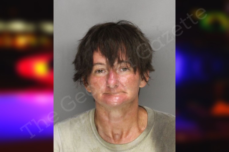 Hayley Hood — Cobb County Jail Bookings