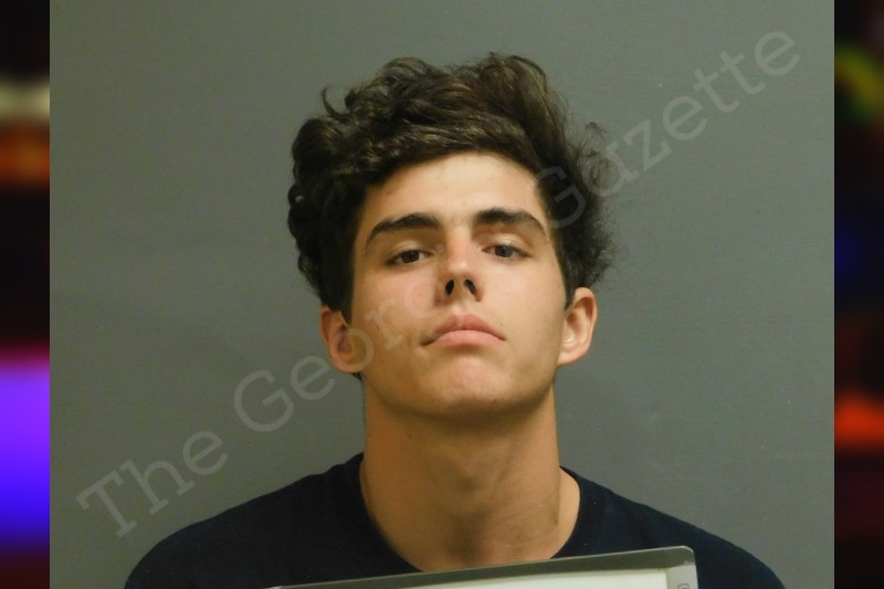 Carl Hamilton — Glynn County Jail Bookings