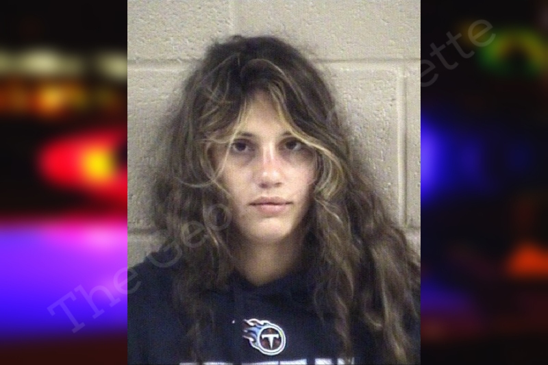 Haley Hartman — Whitfield County Jail Bookings