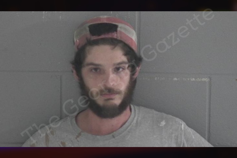 Michael Holyfield — Brantley County Jail Bookings