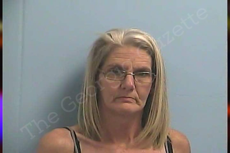 Tabitha Hood — Dawson County Jail Bookings
