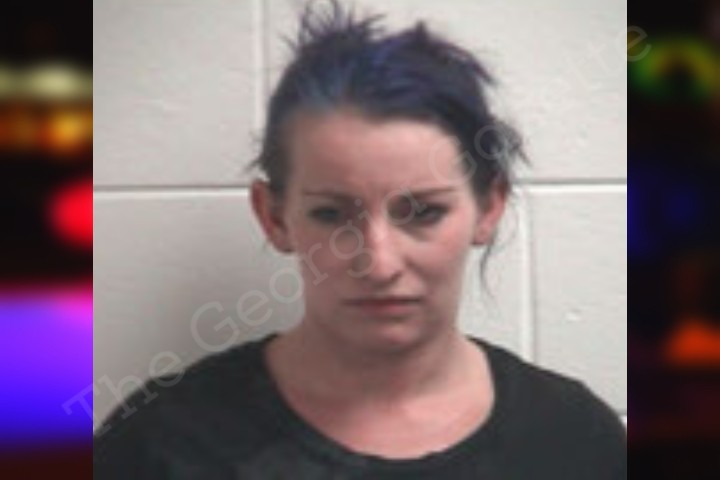 Kristen Ivie — Henry County Jail Bookings