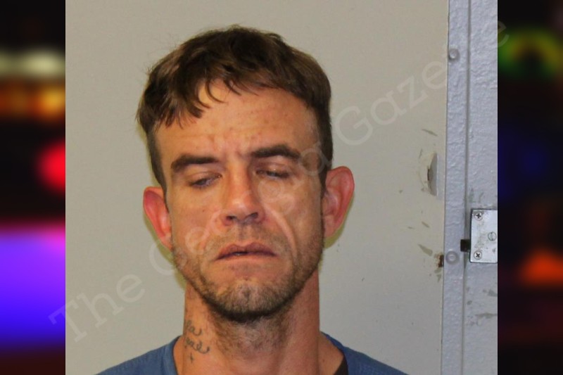 Michael Briseno — McIntosh County Jail Bookings