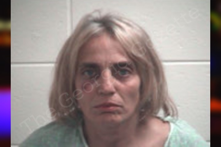 Dawn Johnson — Henry County Jail Bookings