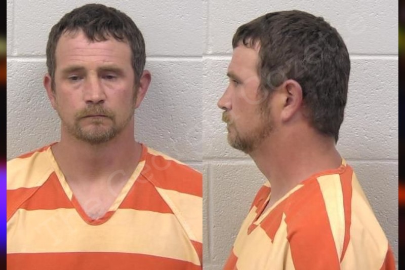 Jason Johnson — Paulding County Jail Bookings