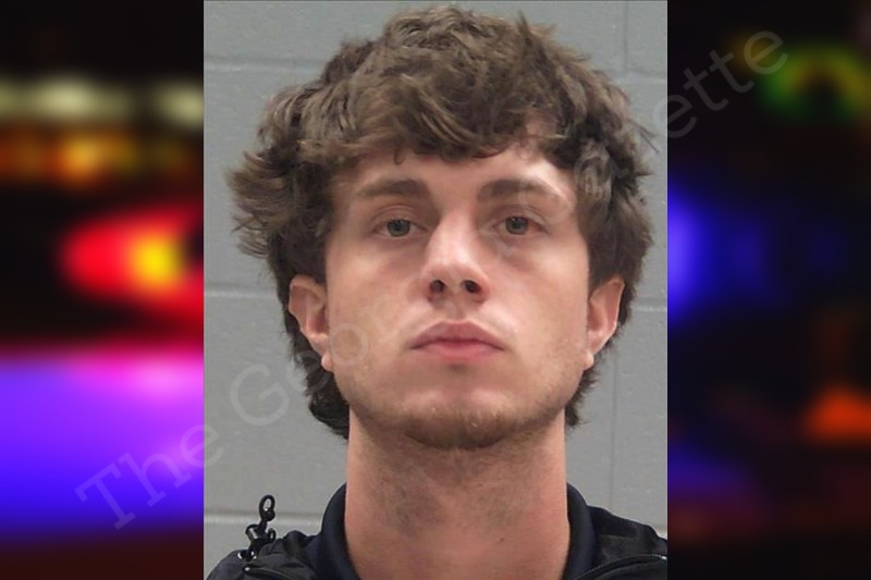 Gavin Lander — Baldwin County Jail Bookings