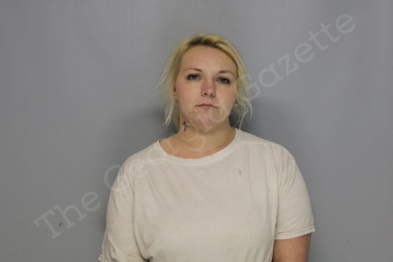 Heidi Landry — Hall County Jail Bookings