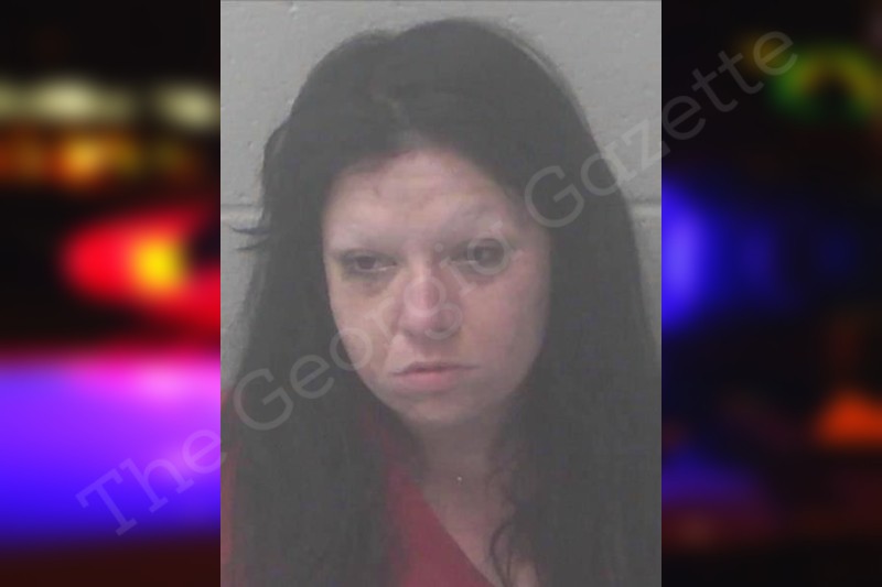 Kristine Lane — Newton County Jail Bookings Kristine Lane — Newton County Jail Bookings