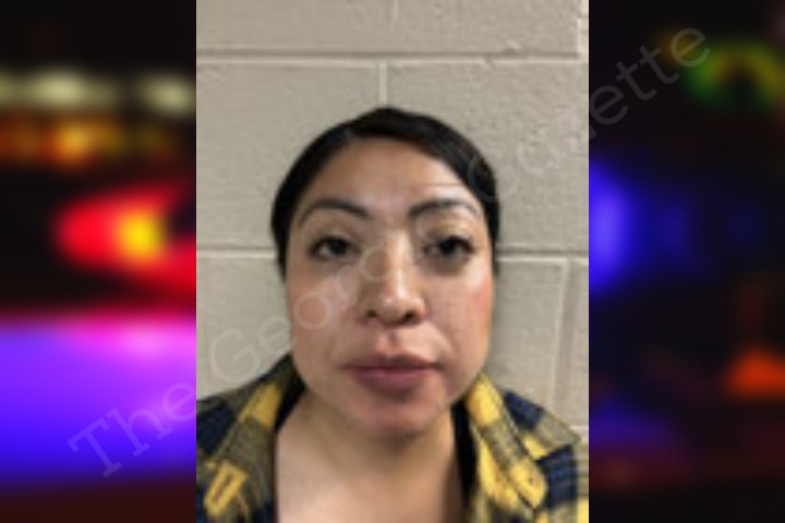 Telma Lopez Andrade — Henry County Jail Bookings