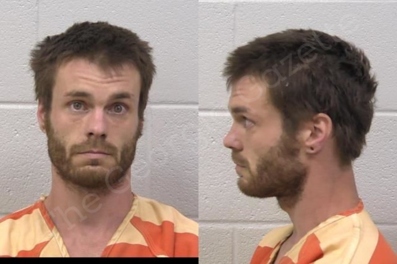 Dustin Leon | Paulding County Jail Bookings