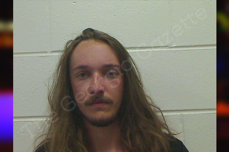 Connor Lewis — Bulloch County Jail Bookings