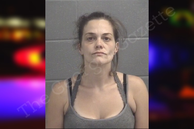Samantha Long — Spalding County Jail Bookings Samantha Long — Spalding County Jail Bookings