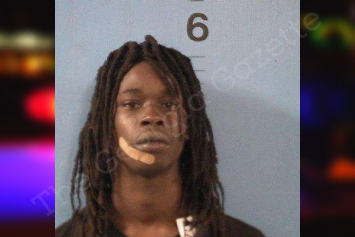 Rico Martin — Monroe County Jail Bookings