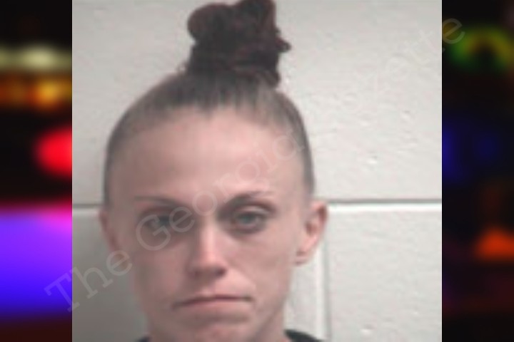 Ashley Mitchell — Henry County Jail Bookings