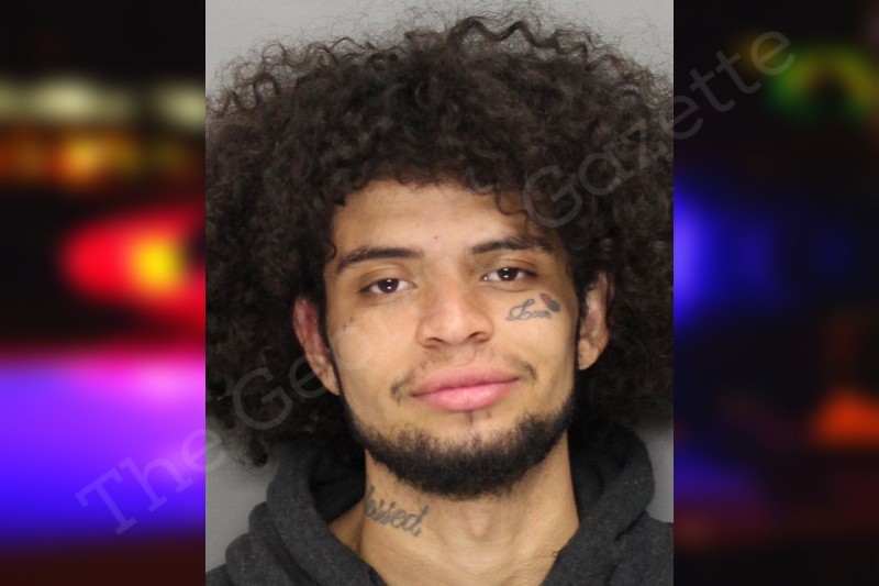 Lester Molina — Cobb County Jail Bookings