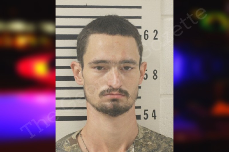 Tyler Moore — Toombs County Jail Bookings