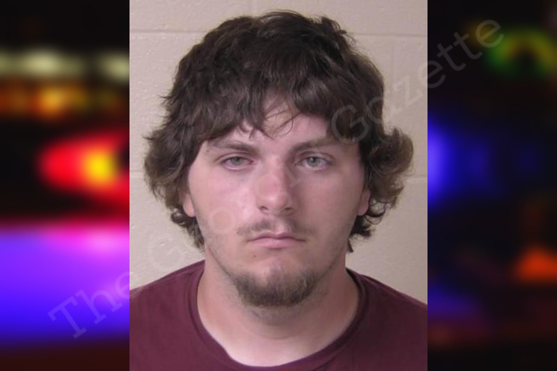 Jaxon Manning — Walker County Jail Bookings