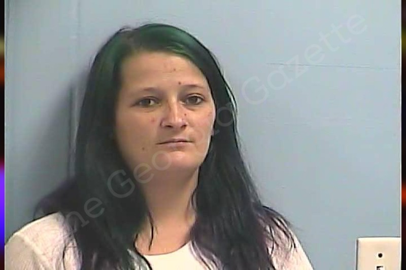 Christina Marlowe — Dawson County Jail Bookings