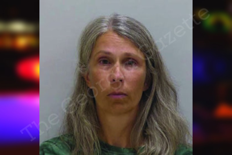 Jennifer Meadows — Bartow County Jail Bookings