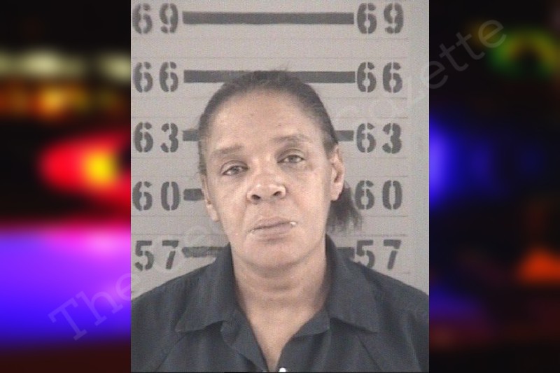 Sharon Mitchell — Dougherty County Jail Bookings