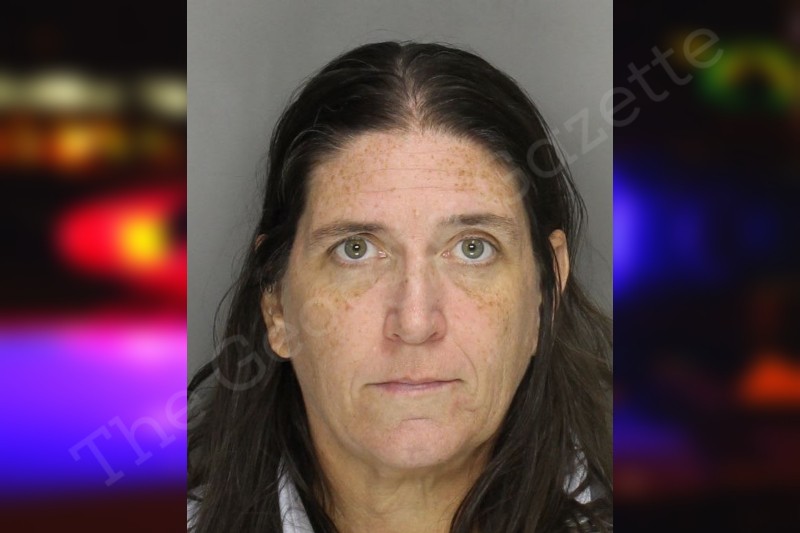 Dorie Orndorff — Cobb County Jail Bookings