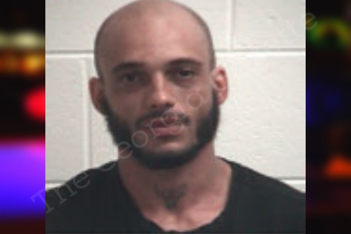 Joshua Patterson — Henry County Jail Bookings