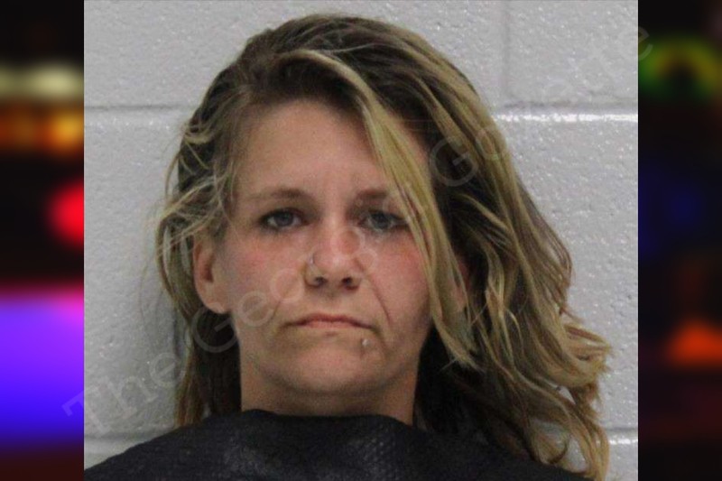 Autumn Puckett — Carroll County Jail Bookings