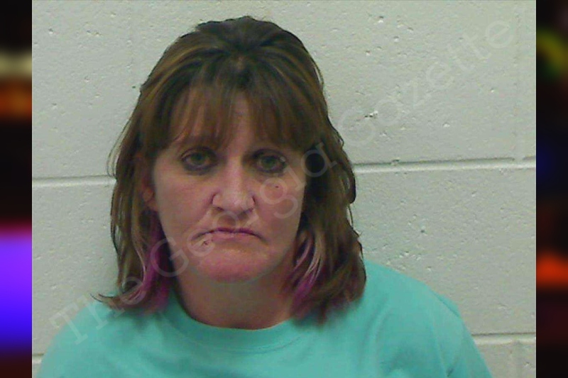 Katherine Pinckney — Bulloch County Jail Bookings