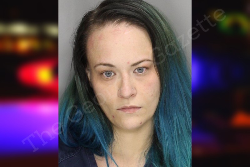 Ashley Rios — Cobb County Jail Bookings